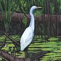Lynn Caldwell - Official Website